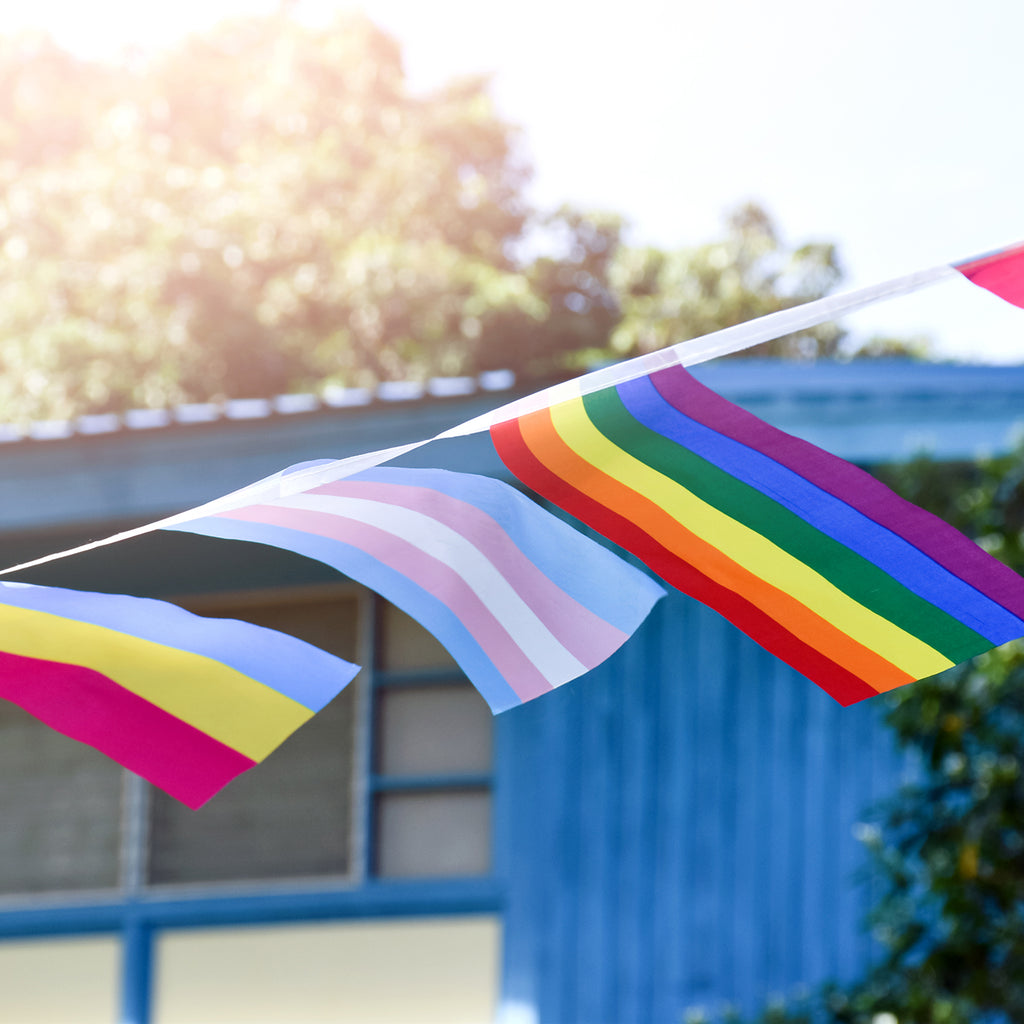 History of Pride Flags: Colors, Symbols, Stories – Outer Peace Gear