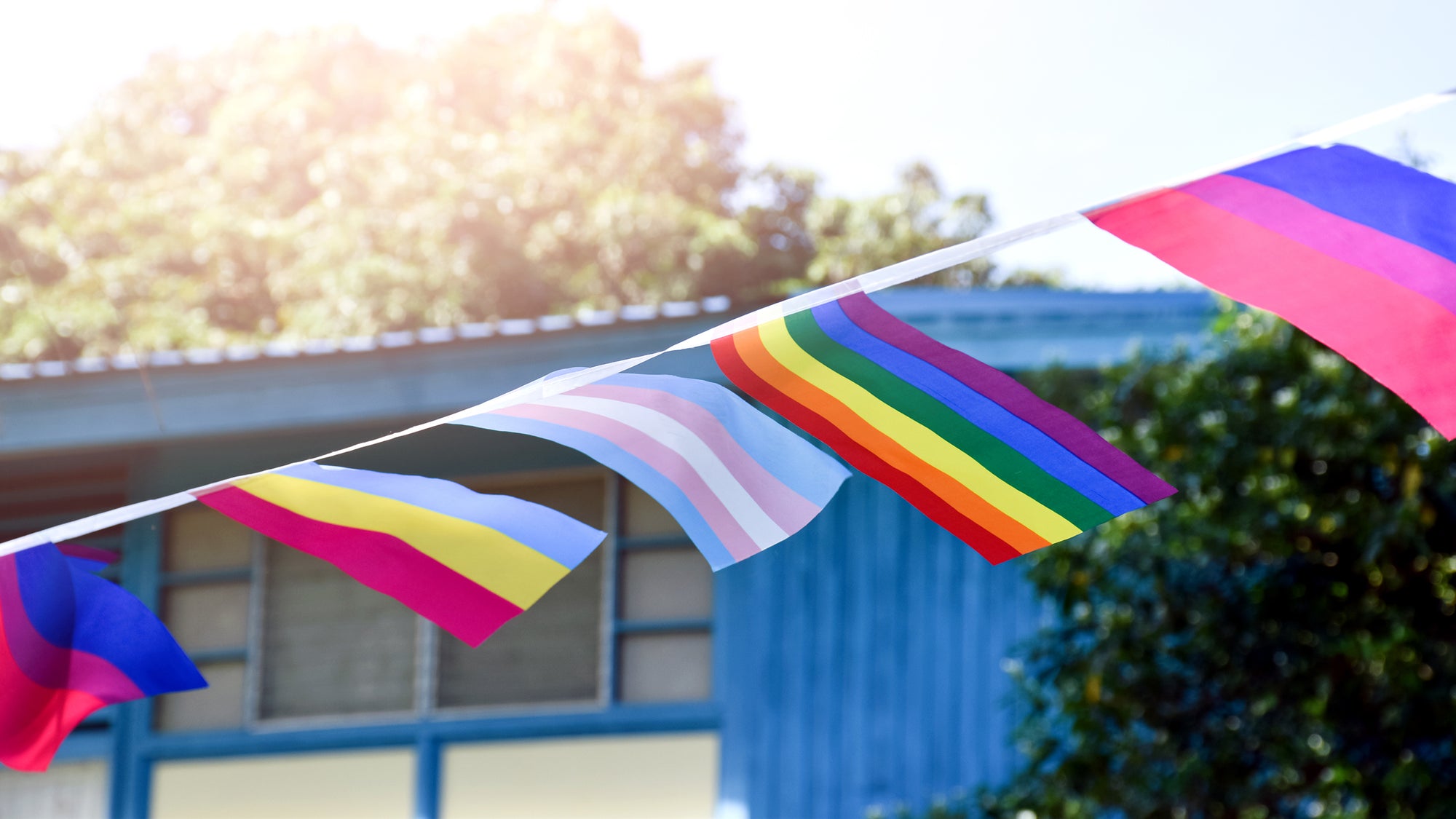 History of Pride Flags: Colors, Symbols, Stories – Outer Peace Gear